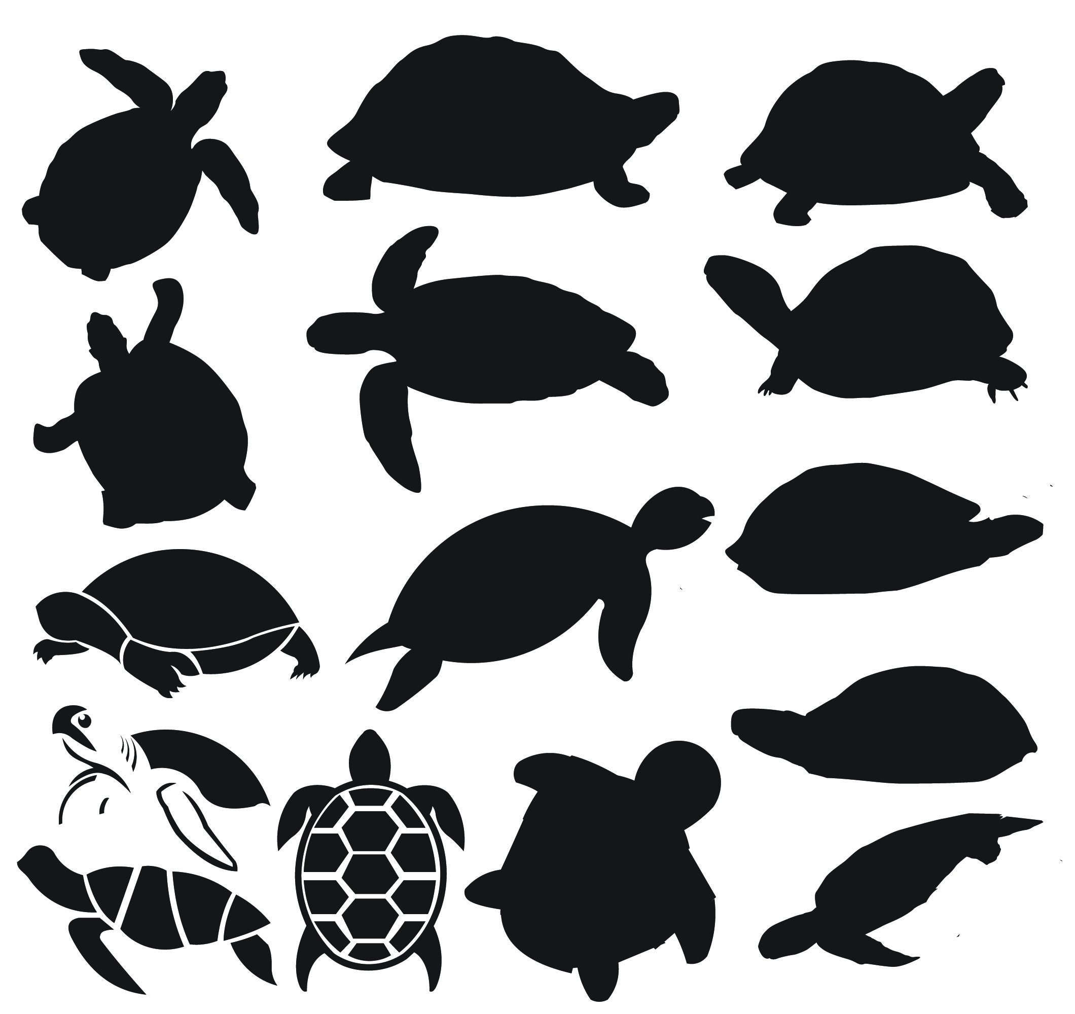 Turtle Silhouette
