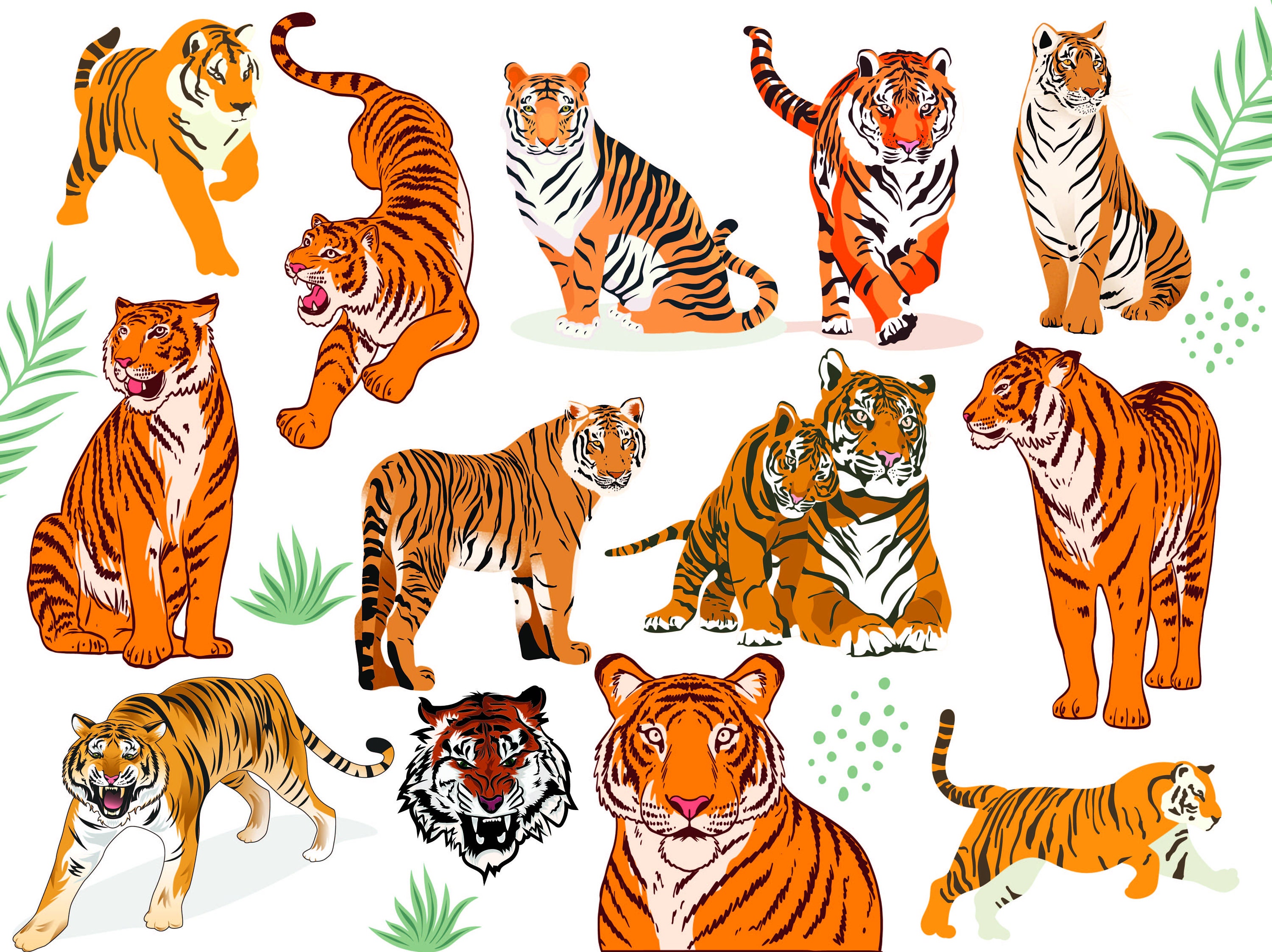 Cute Tiger Clipart Watercolor Tigers SVG Bundle Set Wild - Etsy Norway