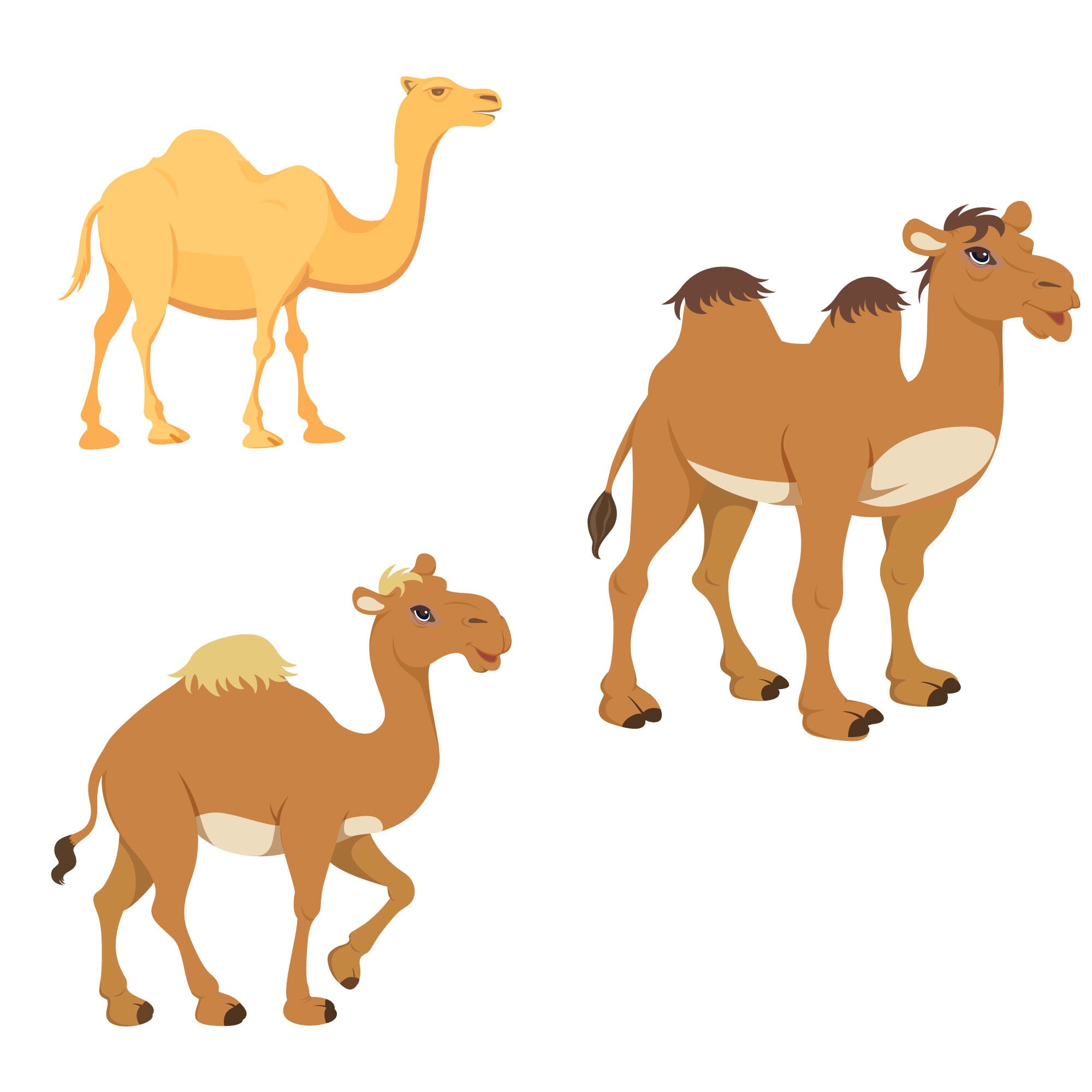 Camel Clipart Brown Camels Digital Design SVG Bundle Cute | Etsy