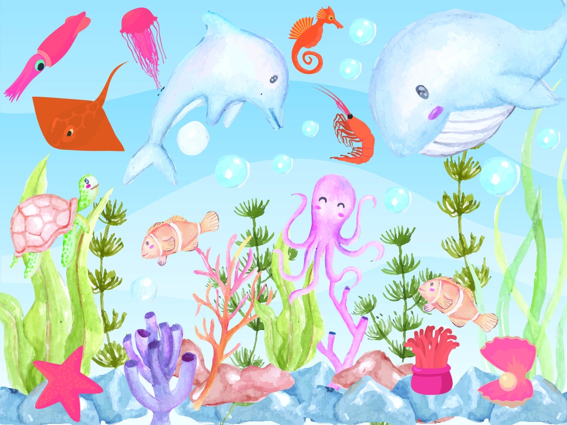 Sea Life Clipart Ocean Life Cliparts Ocean Animals Clipart - Etsy