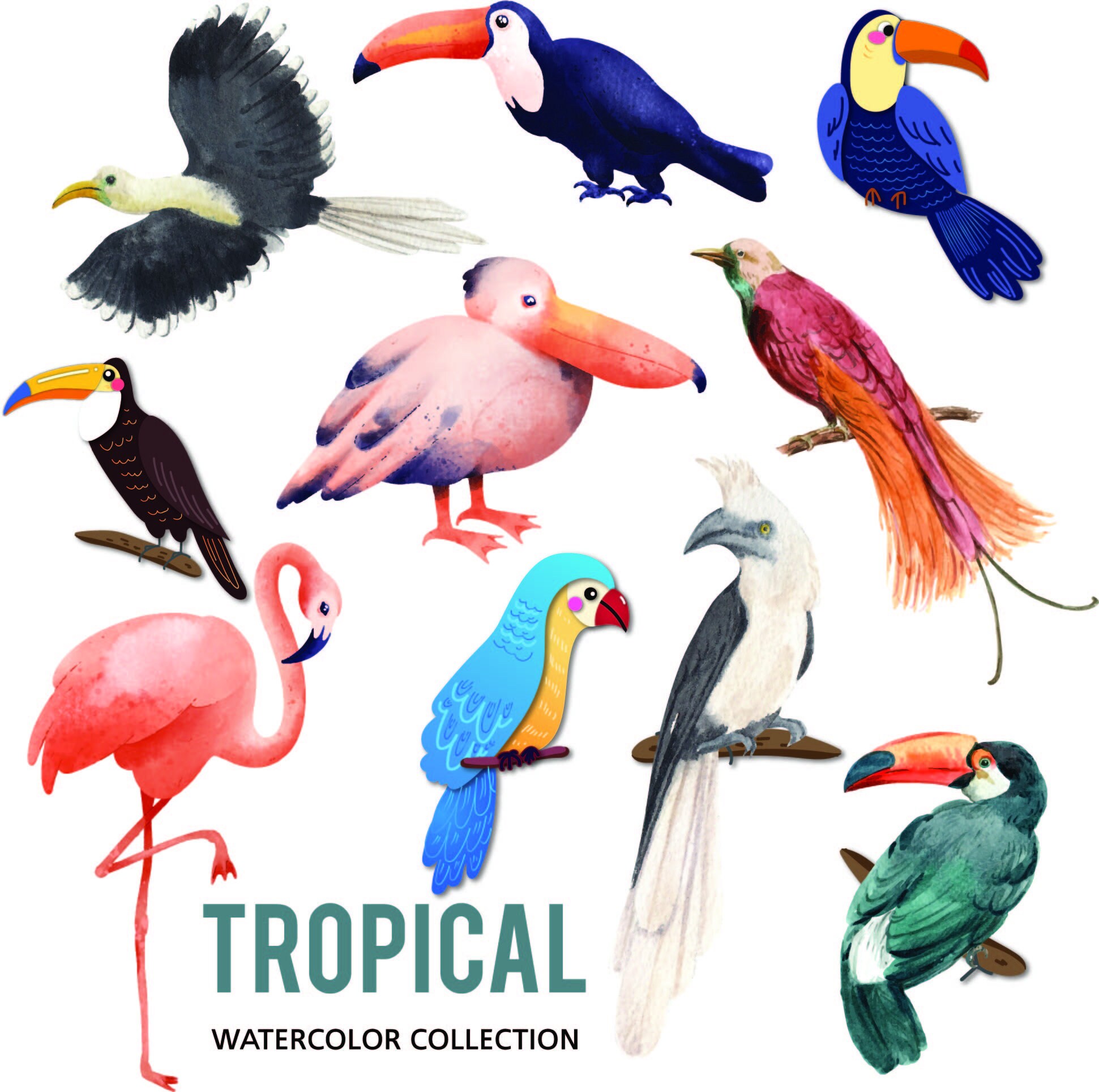Tropical Birds Clipart, Watercolor Digital Tropical Birds, Exotic ...