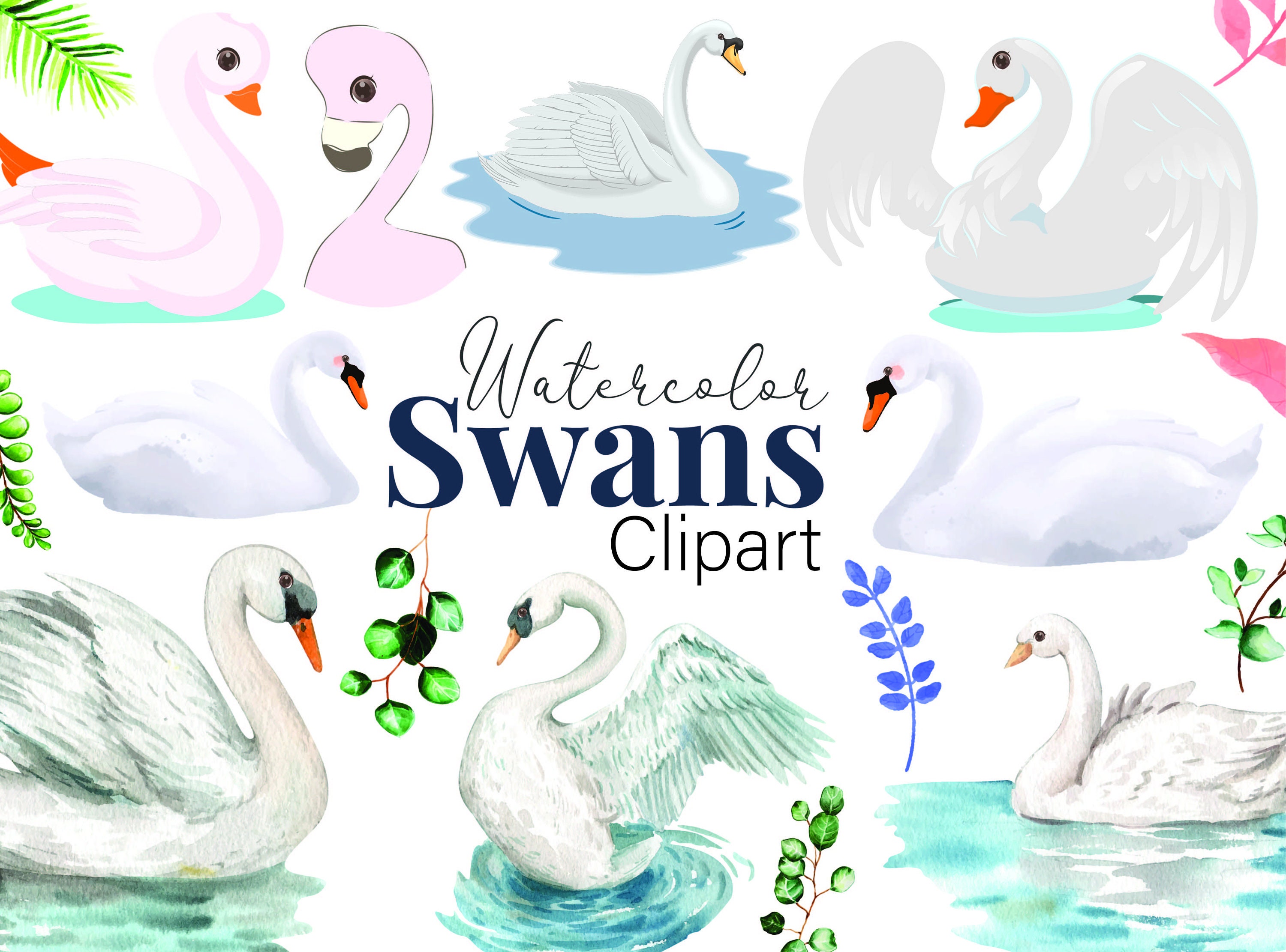 Swan Love Clipart Dividers