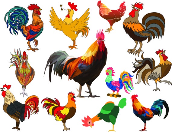Rooster Clip Art Bird Clipart Cute Rooster Clipart