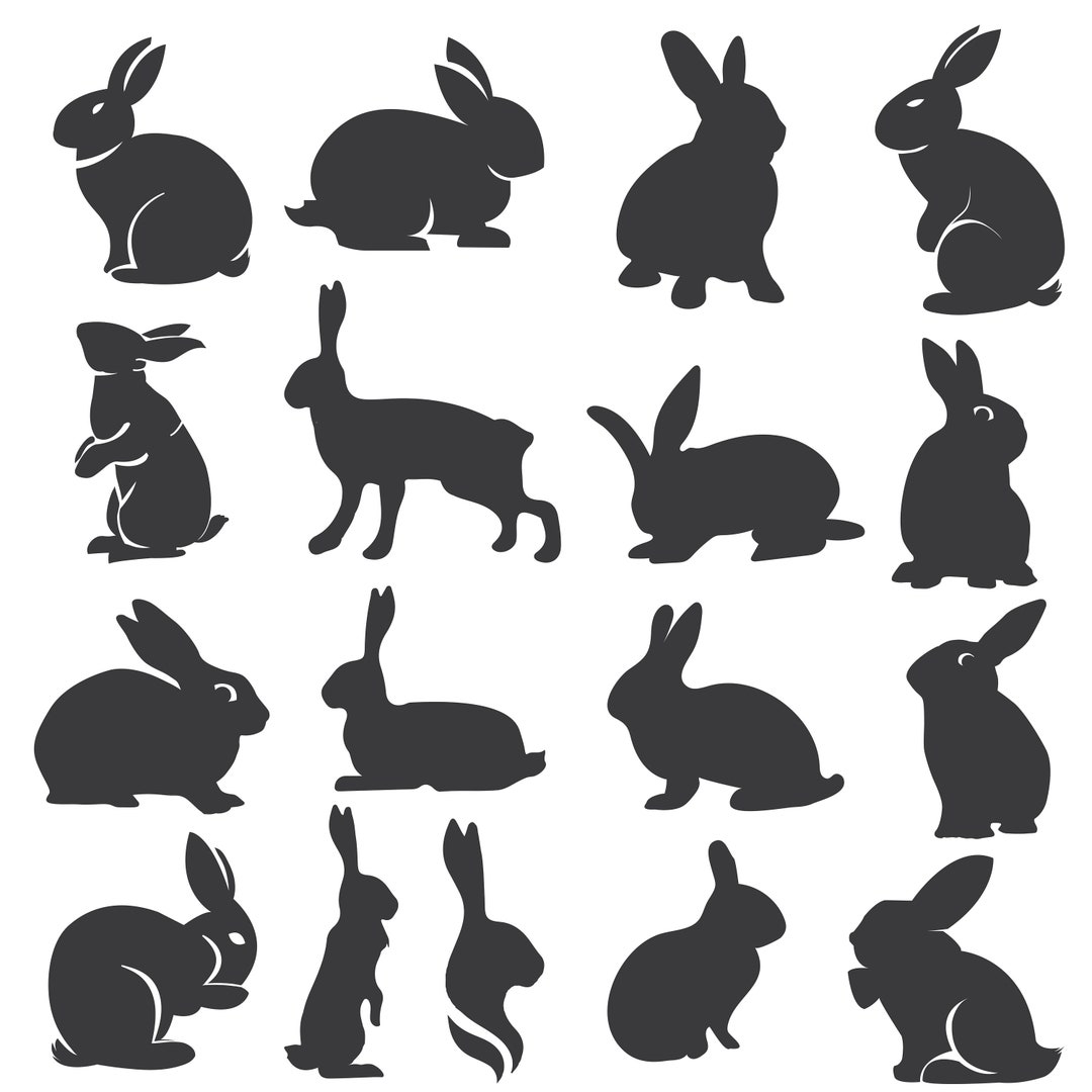 Bunny Svg Bundle, Bunny Digital Silhouette Download for Cricut, Rabbit ...