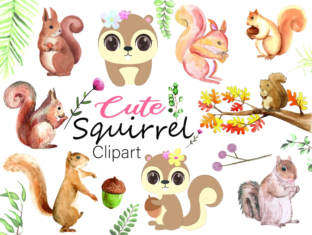 Digital Squirrel Clipart, Woodland Animals SVG Bundle, Graphic PNG ...