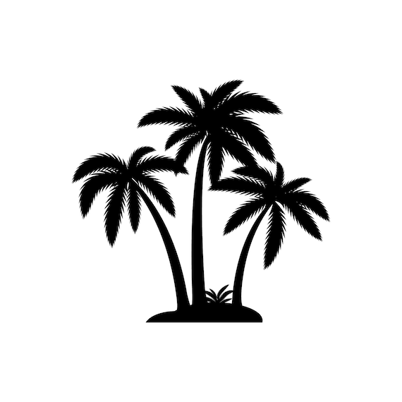 Palm Tree With Coconuts Clipart