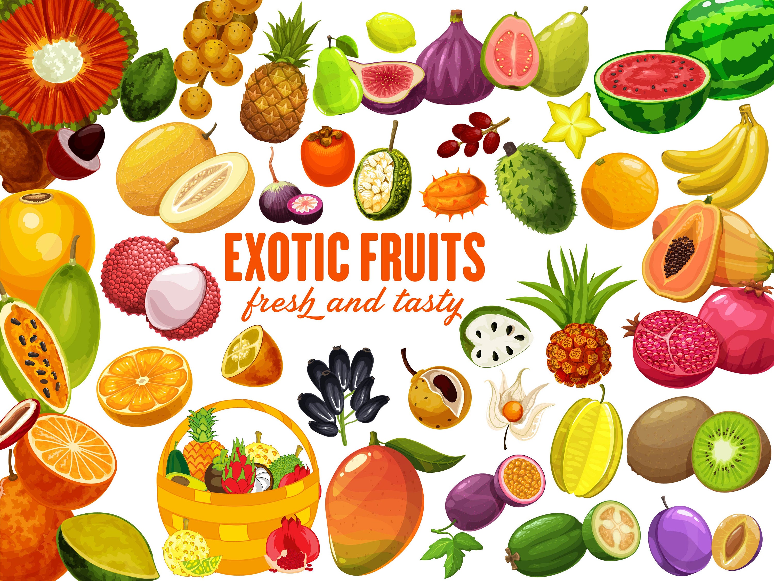Fruits Clipart SVG Bundle Digital Fruit Variety Instant - Etsy