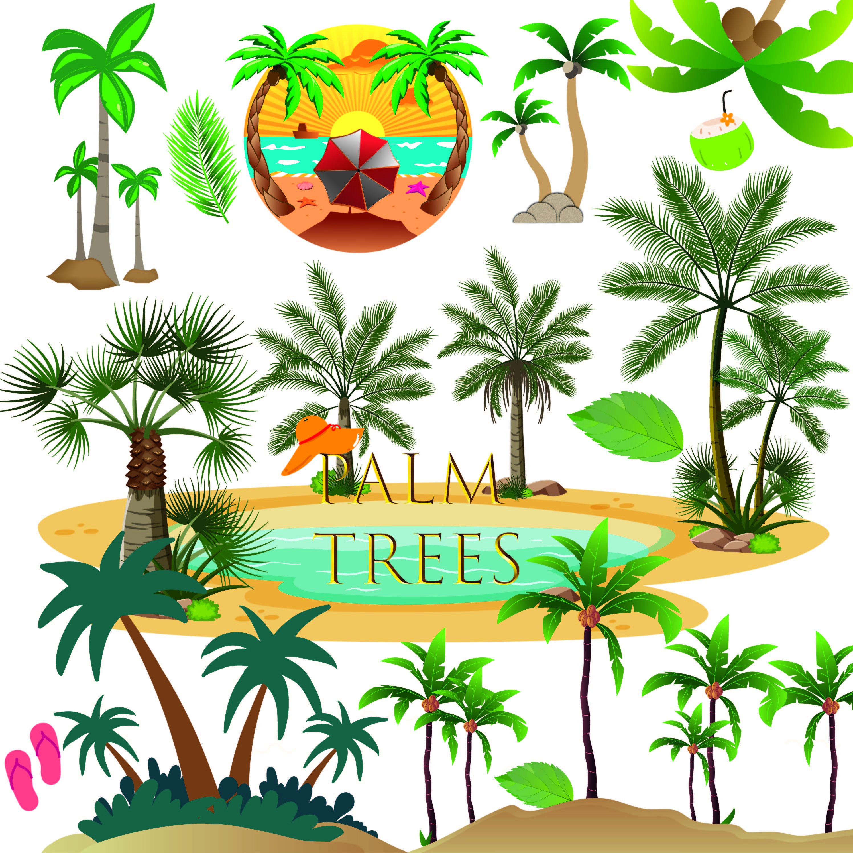 Coconut Palm Clip Art