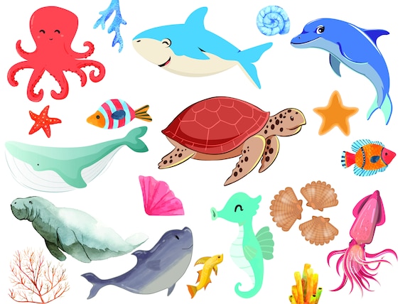 Baby Sea Animals Clip Art