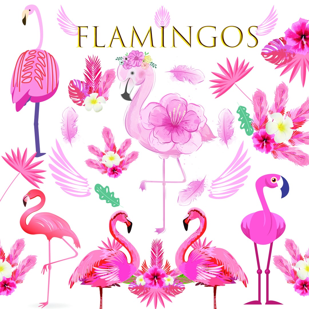 Watercolor Flamingo Clipart Cute Pink Flamingo With Plant - Etsy