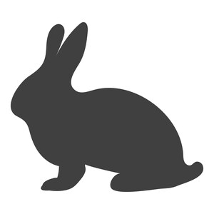 Bunny Svg Bundle, Bunny Digital Silhouette Download for Cricut, Rabbit ...