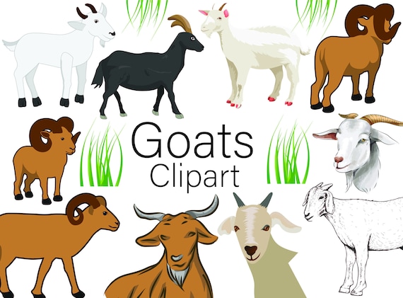 Digital Baby Goats Clipart Little Farm Animals Goat Graphics - Etsy