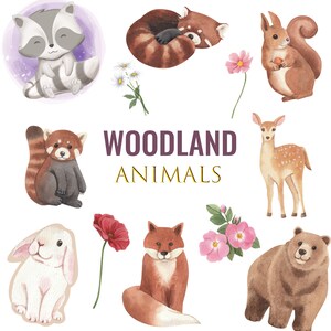 Woodland Animal Clipart Forest Animal Illustrations Forest - Etsy