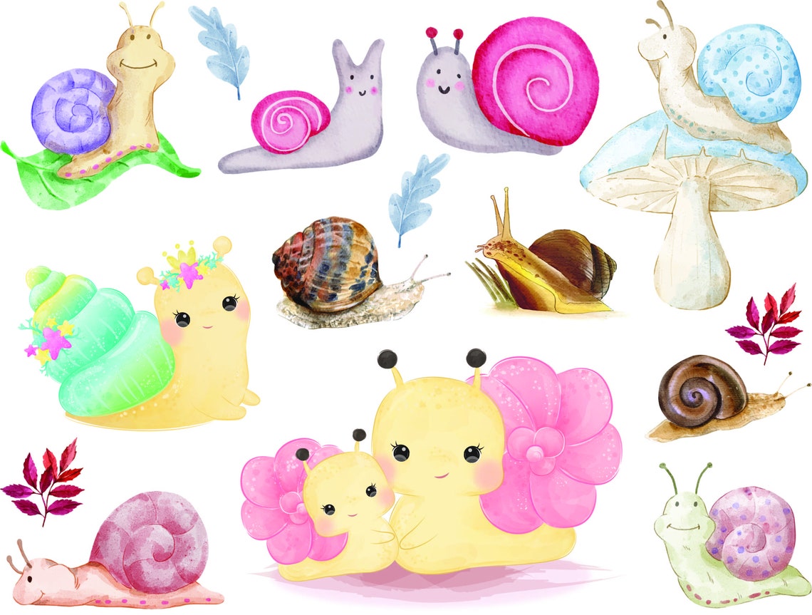 Snail SVG Bundle Insect Clip Art Garden Bugs Clipart | Etsy