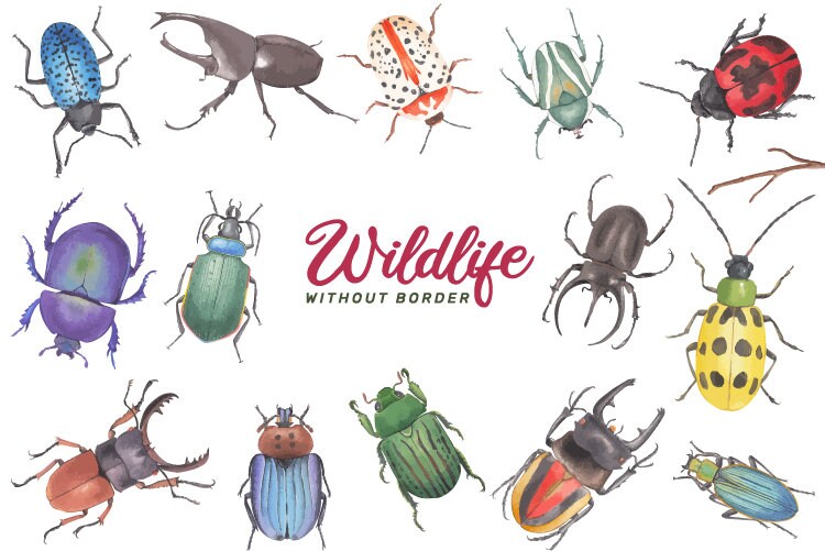 Cute Bugs Clipart Insects Clipart Vintage Garden Bugs - Etsy