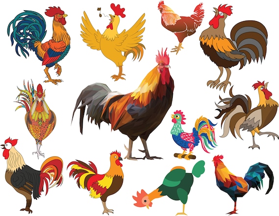 Rooster Clipart Chicken PNG Watercolor Clip Art Farm Bird | Etsy