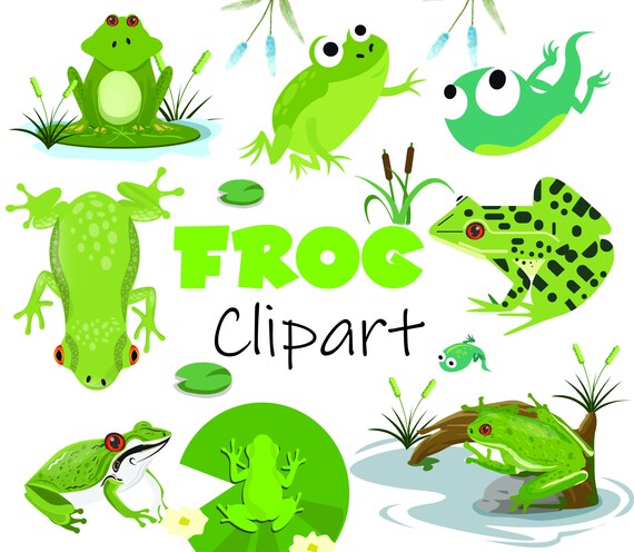 Swamp Animals Clipart