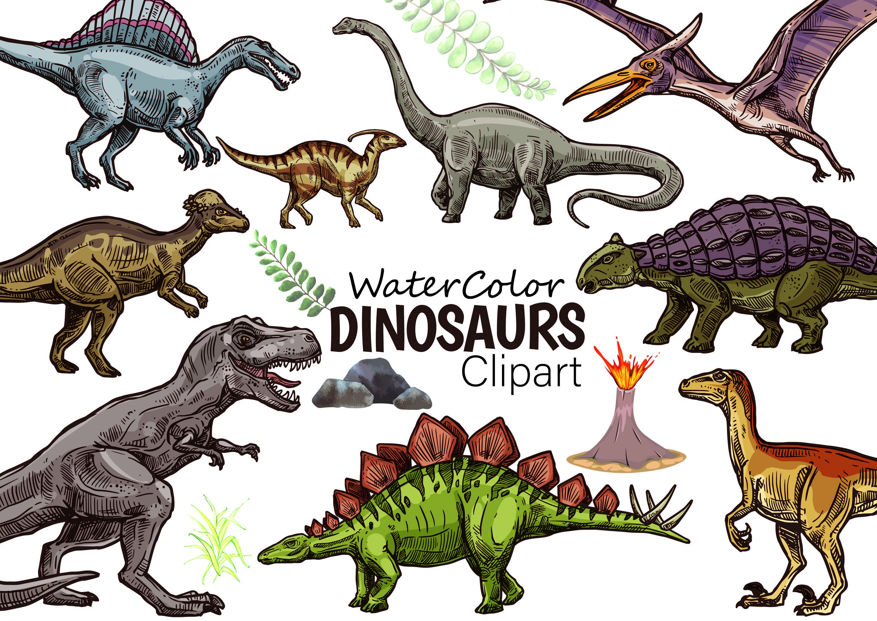 Watercolor Dinosaur Clipart Dinosaurs Cartoon Design Art - Etsy