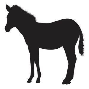 Zebra SVG Bundle Jungle Animal SVG Cut Files Zebra Silhouette Bundle ...