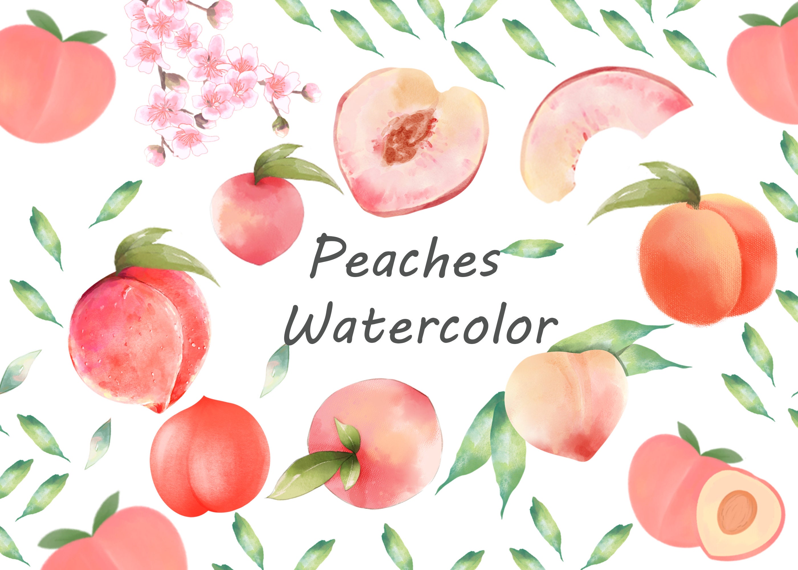 Watercolor Peach Clipart Digital Fruits Sweet Summer Peaches - Etsy Canada