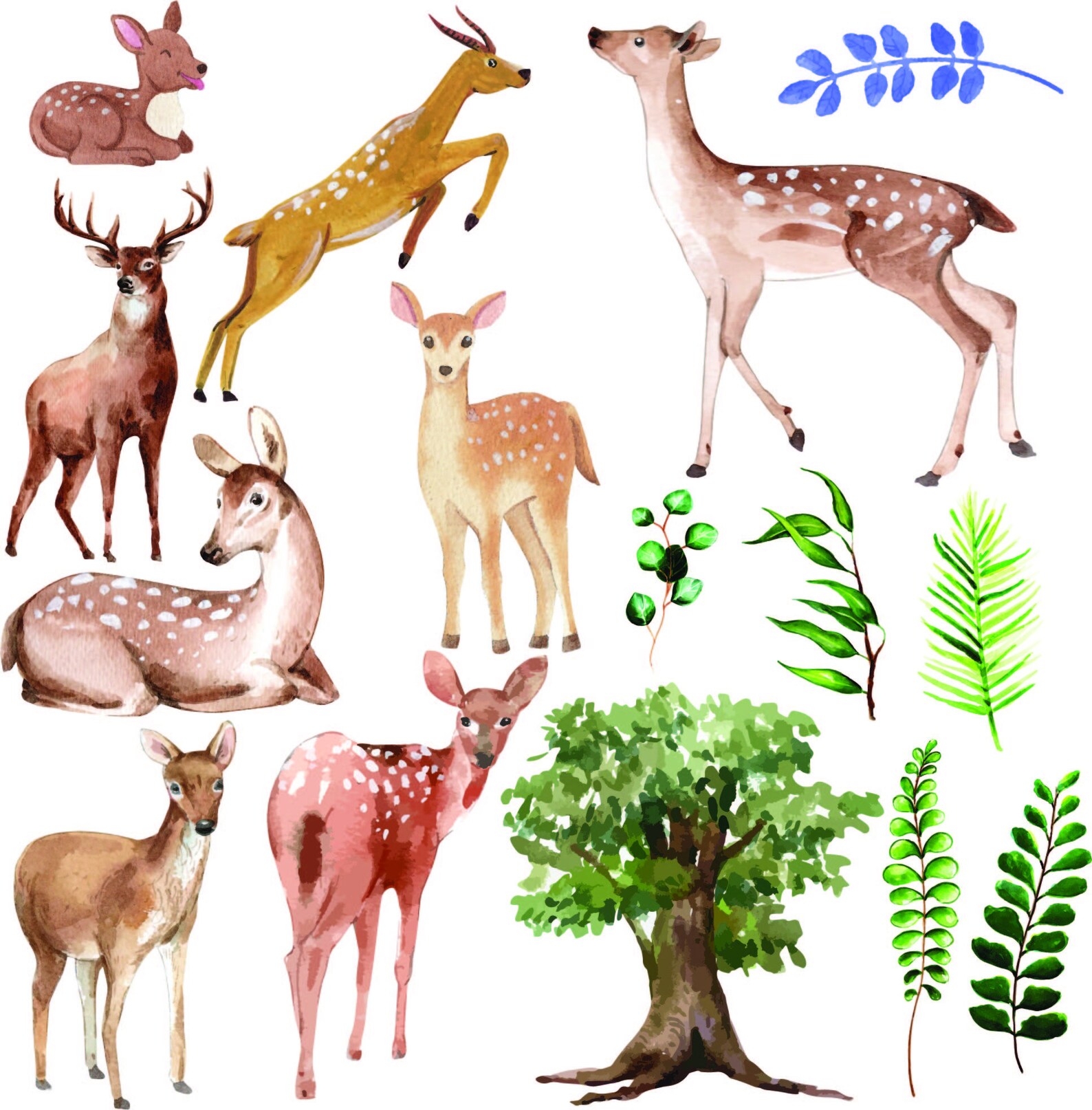 Beautiful Deer Clipart Set Cute Woodlands Animals Nature - Etsy