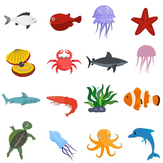 Sea Creature Designs