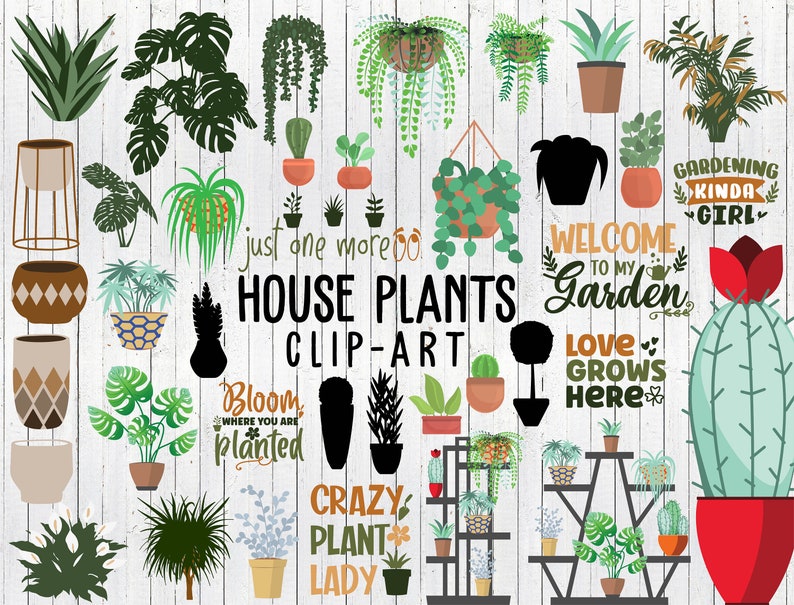 Watercolor Houseplants Clipart Botanical Indoor Plants Clip - Etsy