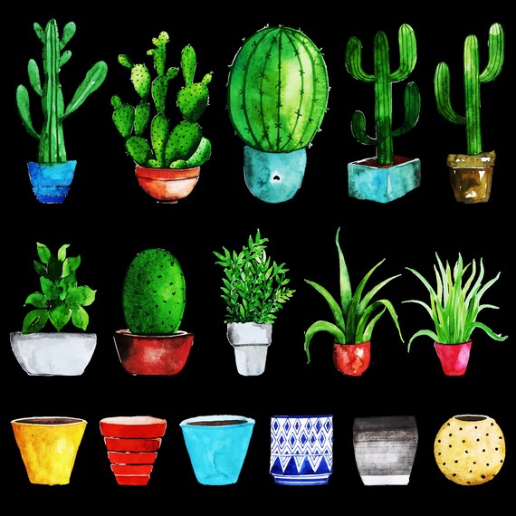 Flowers Pots Clipart Cactus Pot Clipart Cactus Bundle SVG | Etsy