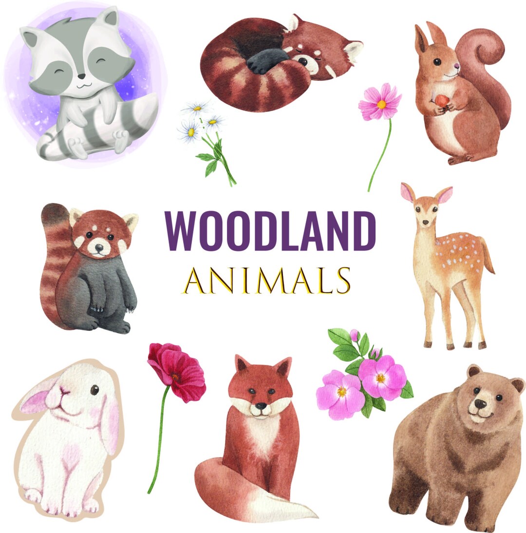 Woodland Animal Clipart Forest Animal Illustrations Forest - Etsy