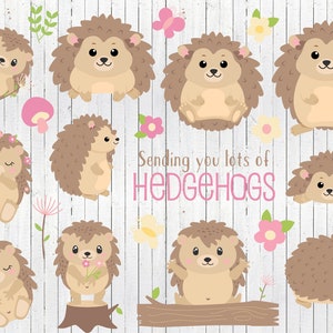 Watercolor Hedgehog Clipart, Cute Baby Hedgehogs Hedgehog PNG, Woodland ...