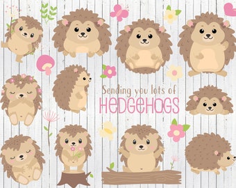 Cute Hedgehogs Clipart, Woodland Animal Clipart - Etsy UK