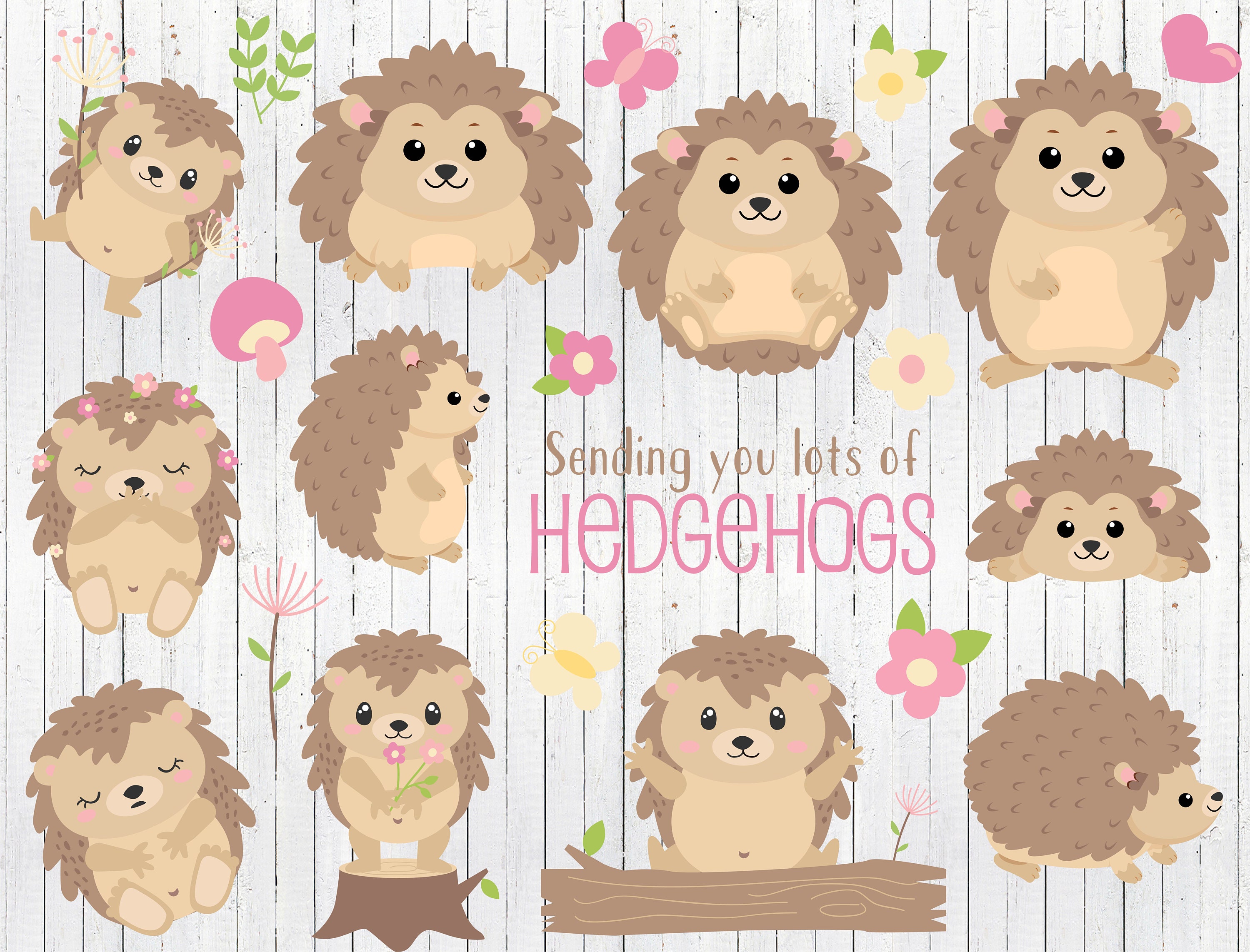 Watercolor Hedgehog Clipart Cute Baby Hedgehogs Hedgehog PNG - Etsy