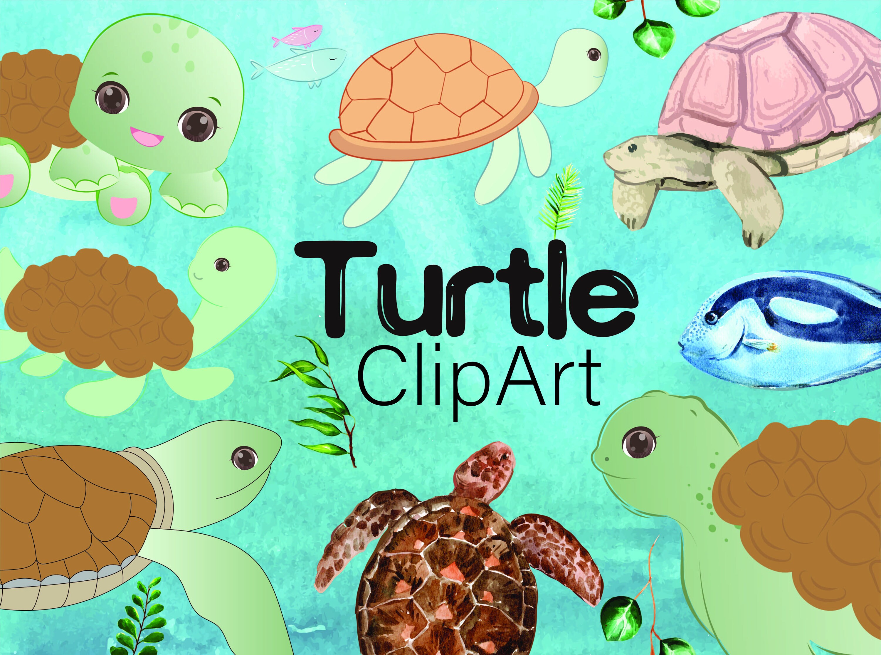 Colorful Turtles Clipart