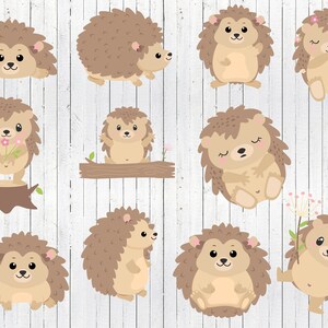 Watercolor Hedgehog Clipart, Cute Baby Hedgehogs Hedgehog PNG, Woodland ...