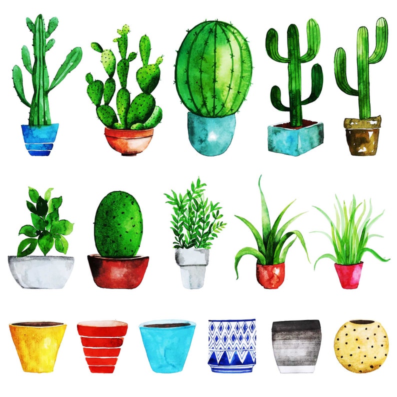 Flowers Pots Clipart Cactus Pot Clipart Cactus Bundle SVG - Etsy