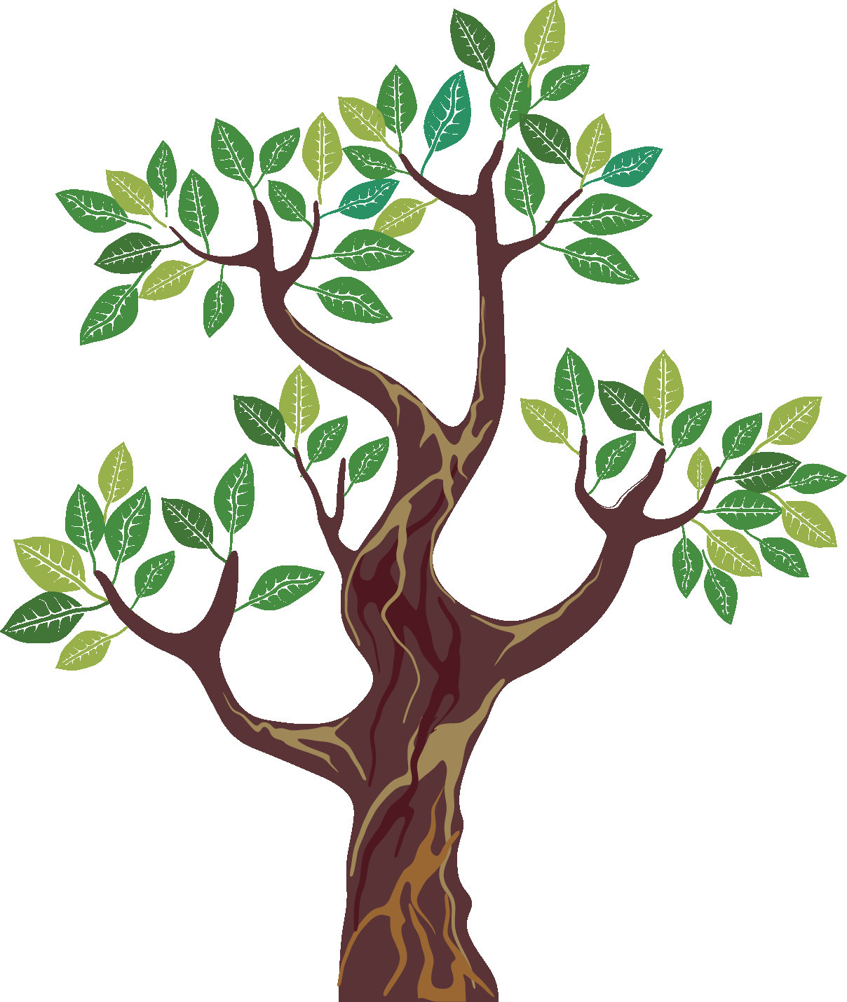 Oak Trees Clipart Woodland Fall Oak Tree Clipart Pine Tree - Etsy Australia