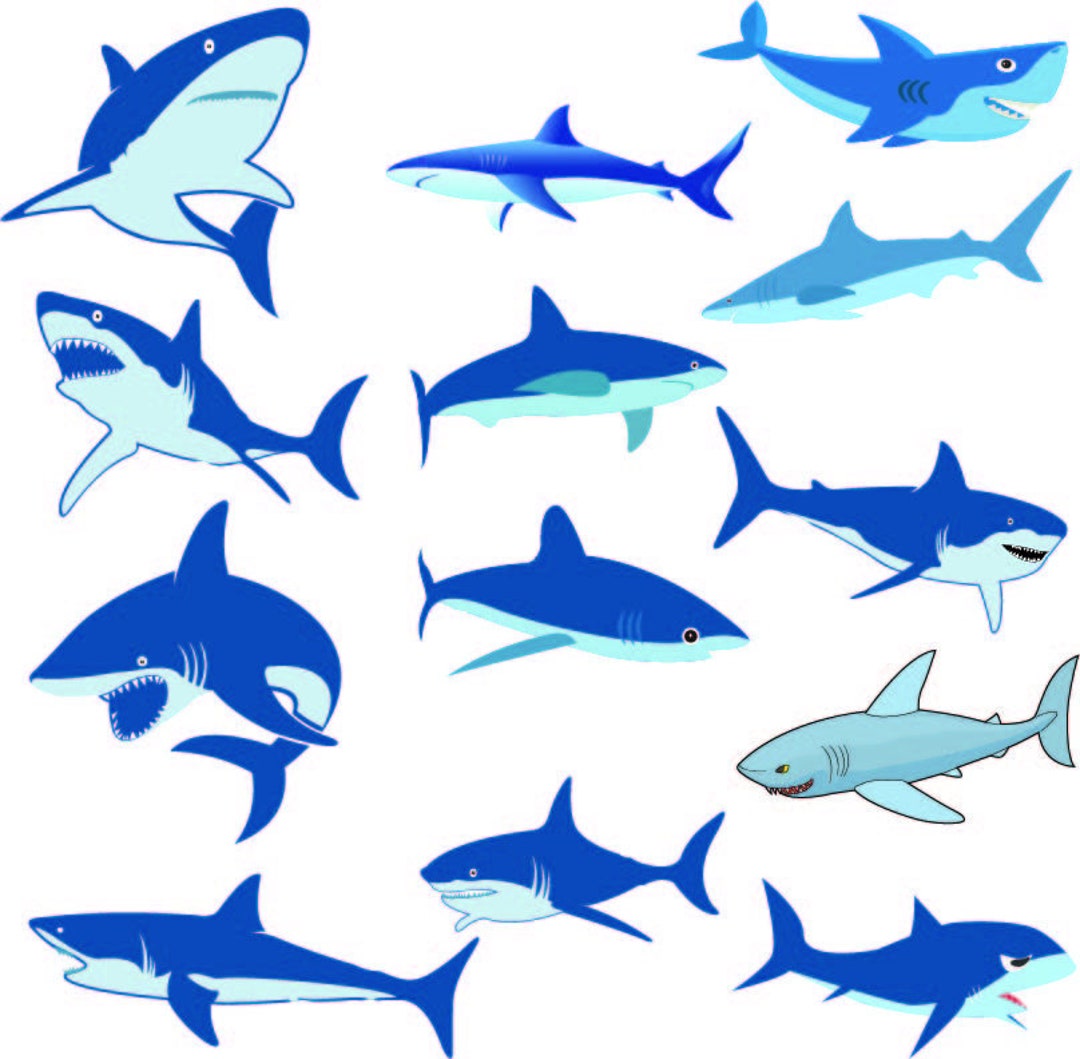 Cartoon Shark Clipart Sharks SVG Files for Cricut Shark - Etsy