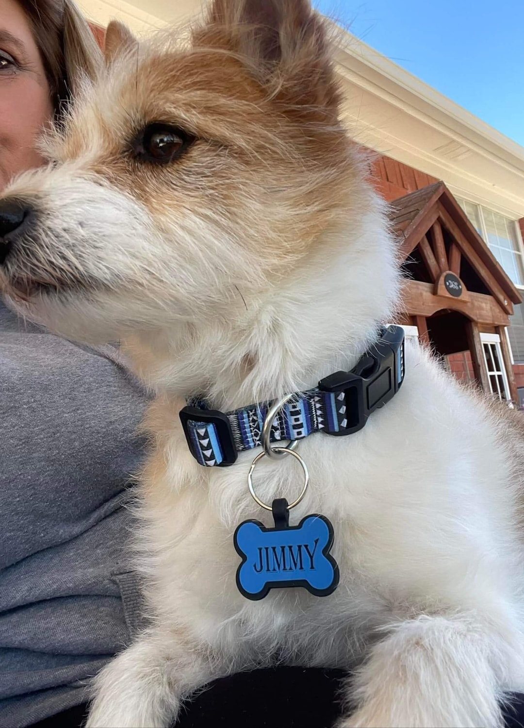 Silicone Dog Tags, Personalized Dog ID Tags, Silicone Dog Tag, Silent ...