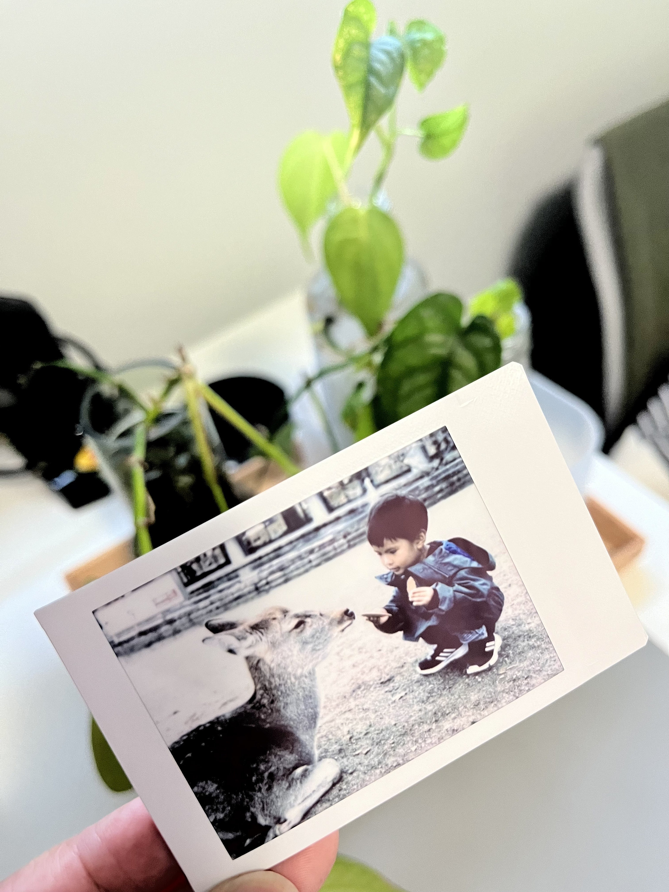 Custom Instax Mini Prints Film Photo Prints Instax Mini Film Polaroid ...