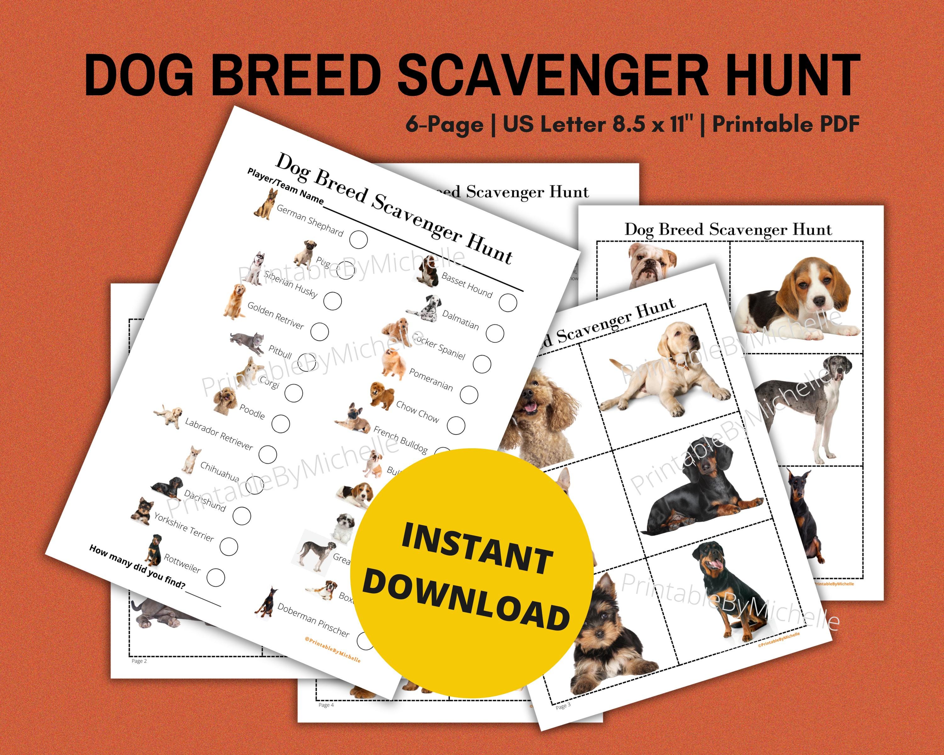 Dog Breed Scavenger Hunt – Printable Fun for All Ages! - Etsy