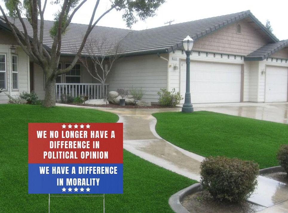 Democracy Matters, Vote Yard Sign, Political Yard Sign, Human Rights ...