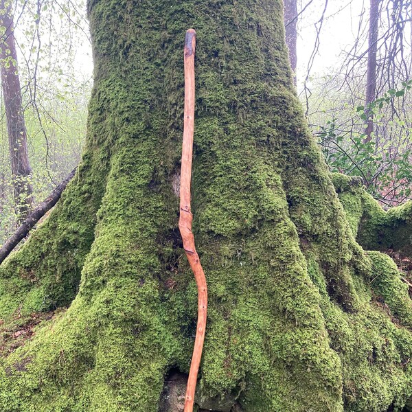 Wizard Staff - Etsy UK