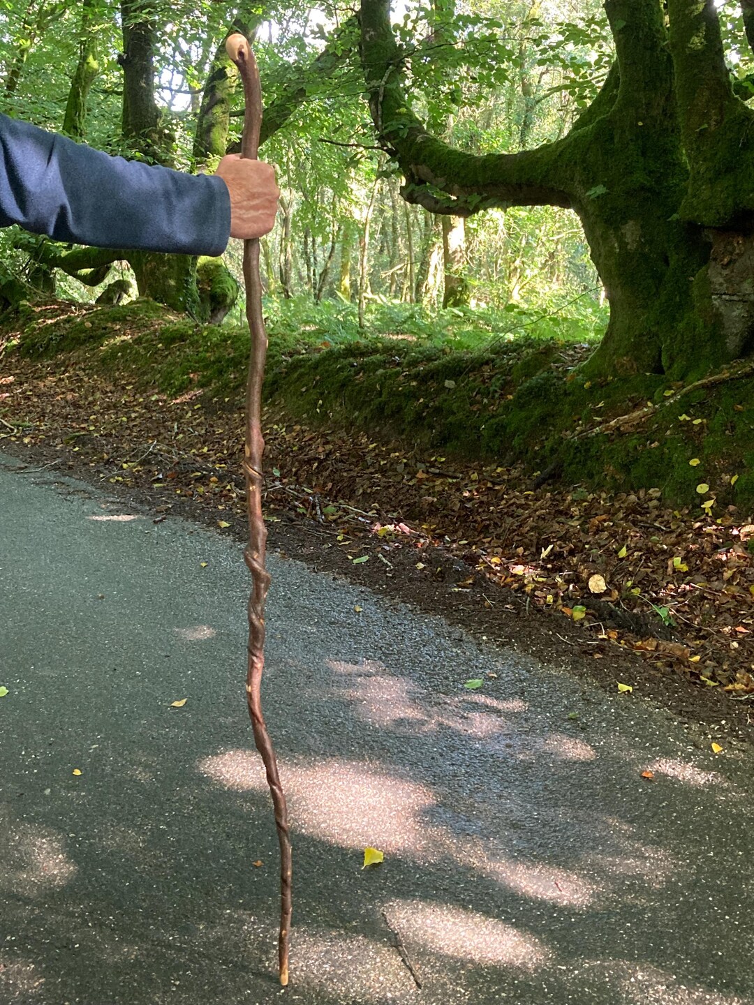Hornbeam Staff Woodland Staff Walking Staff Larp Staff Ceremonial Staff ...