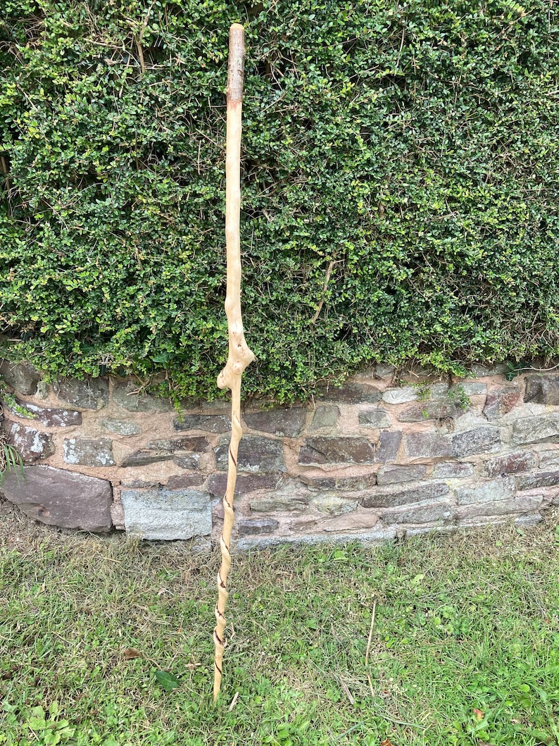 Hazel Walking Staff Wizard Staff Witch's Staff Ceremony Staff Solstice ...