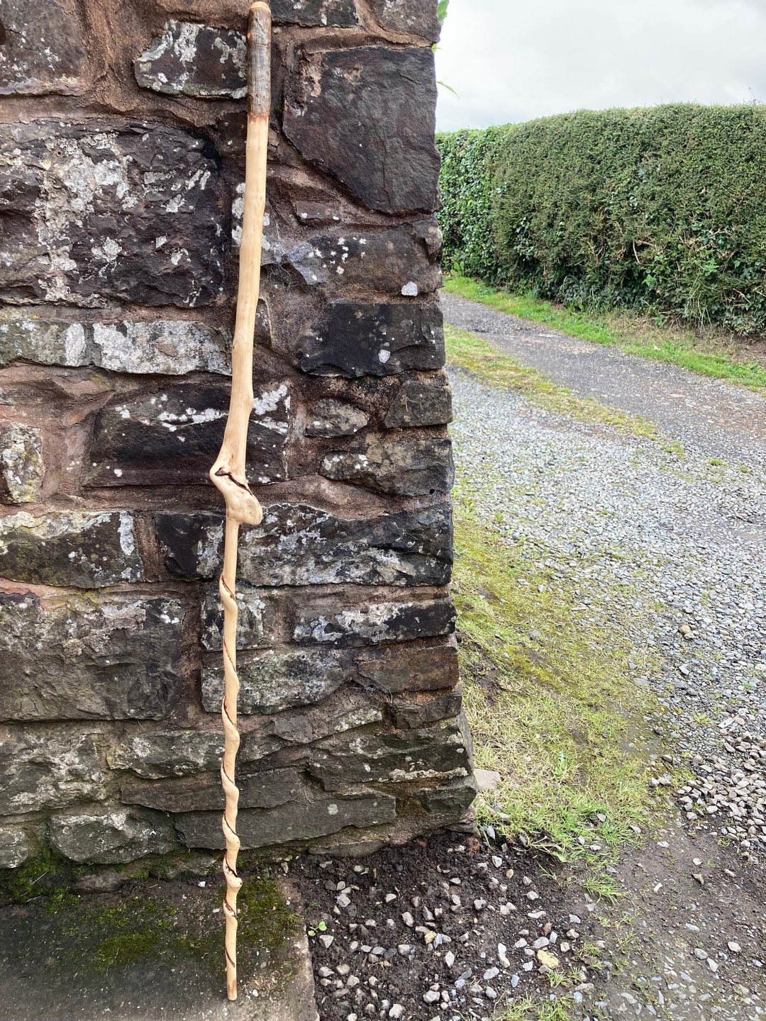 Hazel Walking Staff Wizard Staff Witch's Staff - Etsy UK