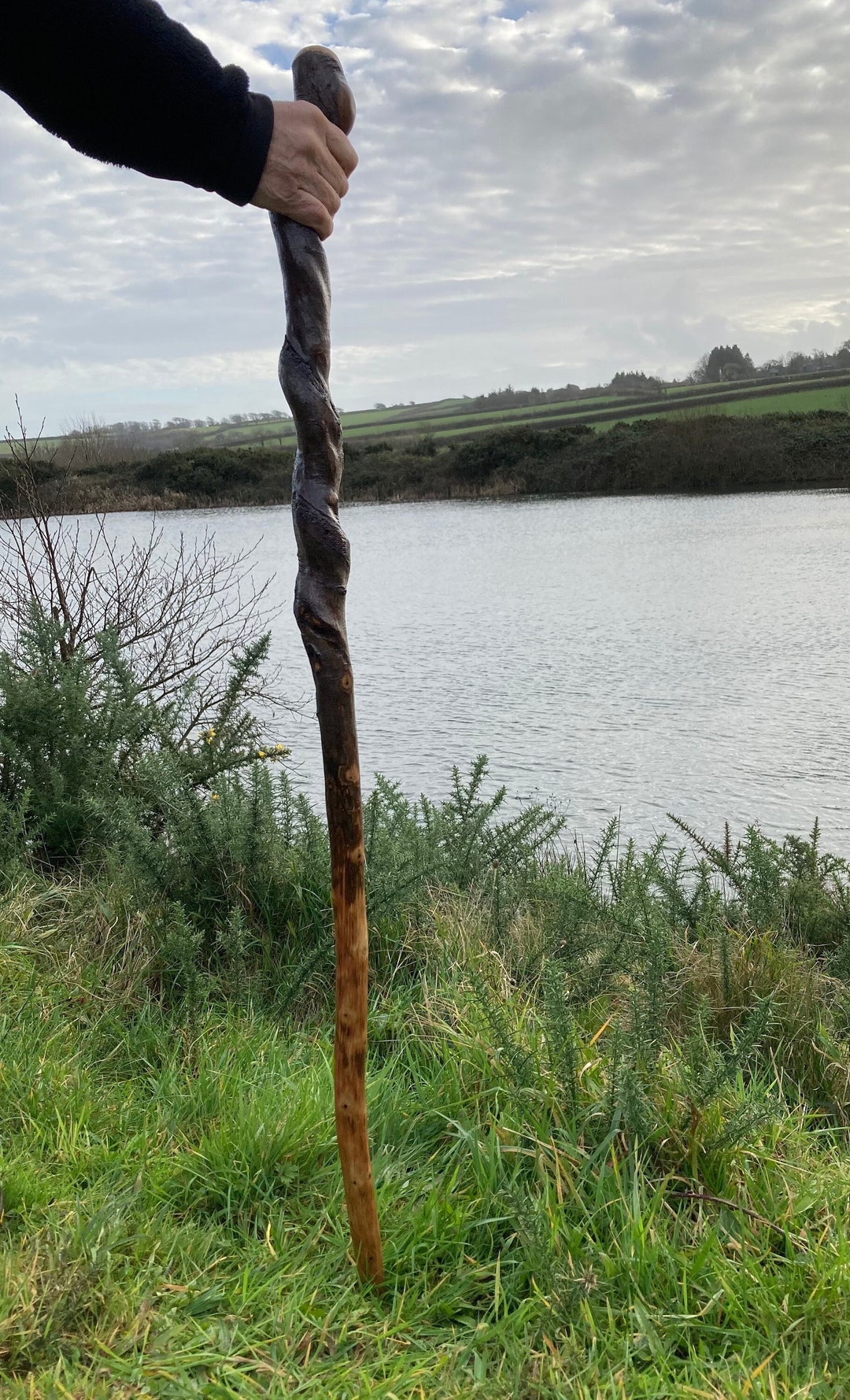 Hornbeam Walking Staff Wooden Staff Twisted Staff - Etsy UK