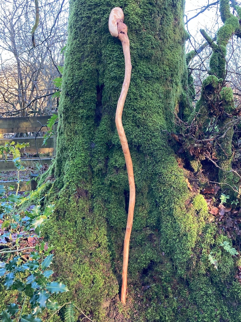 Rowan Staff Druid Staff Wooden Staff Goddess Staff Magic Staff Witches ...