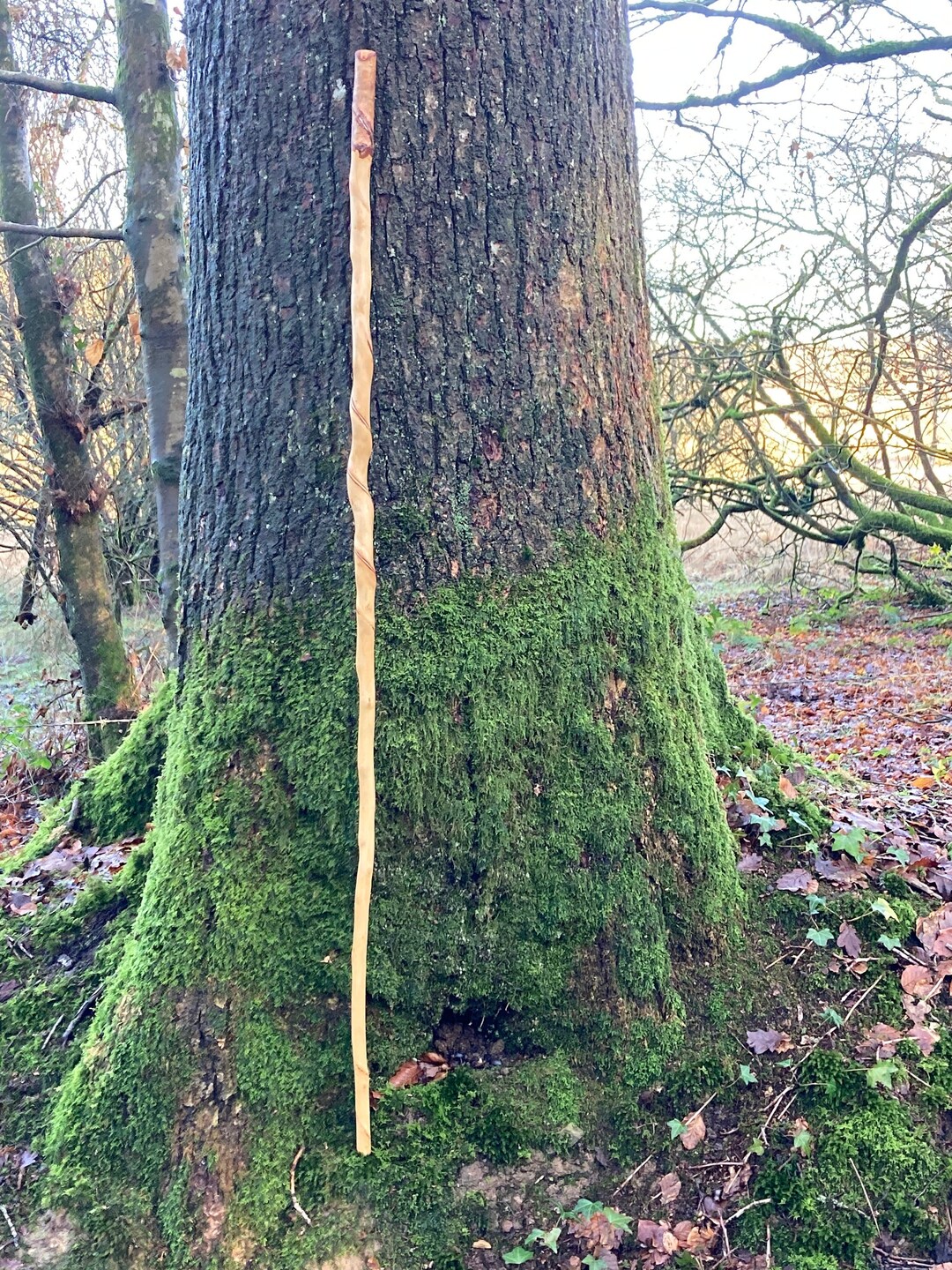 Silver Birch Wizard Staff Wooden Staff Druid Staff Ceremonial Staff ...