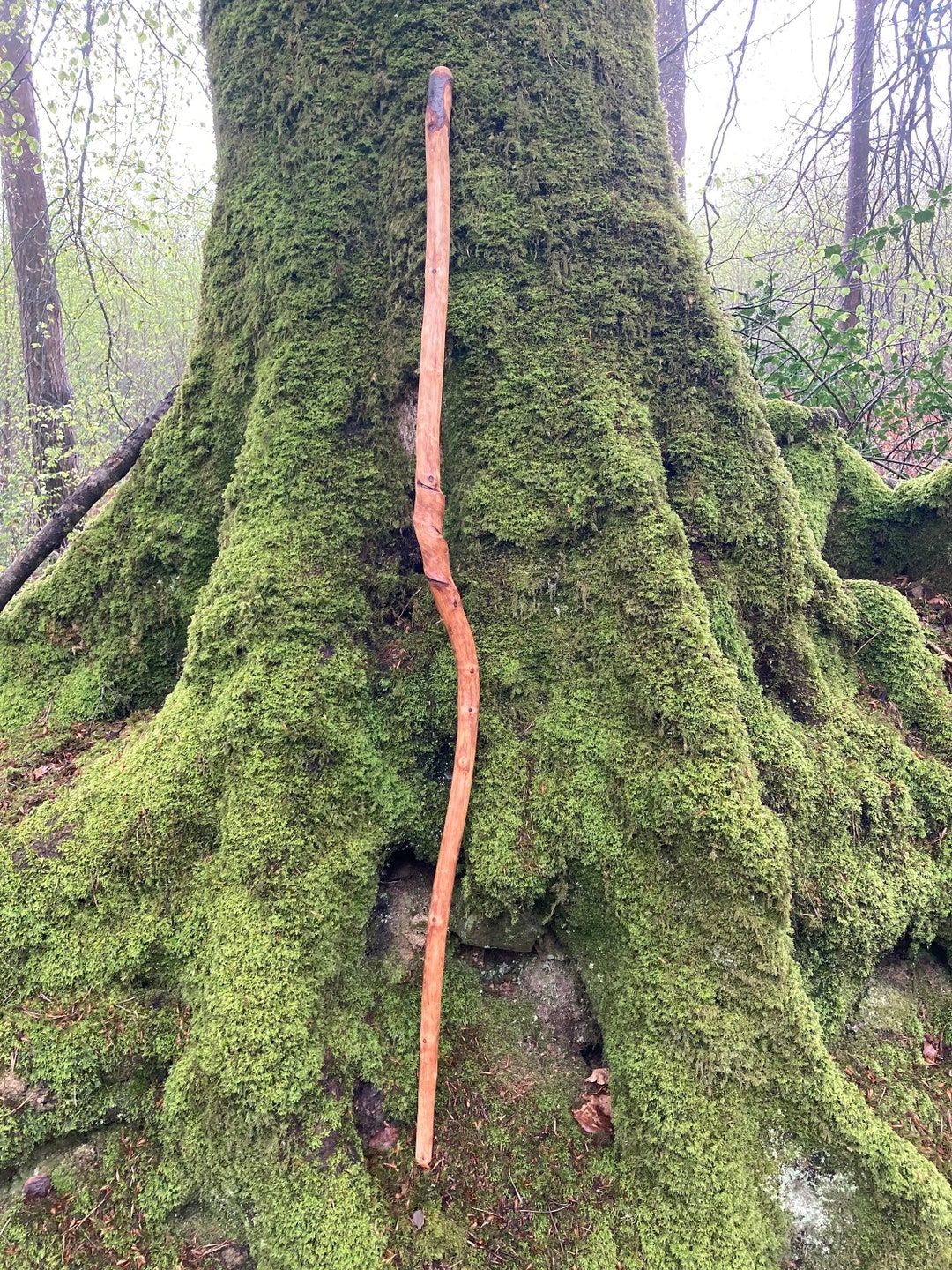 Cherry Wizard Staff Wooden Walking Staff Goddess Staff - Etsy UK