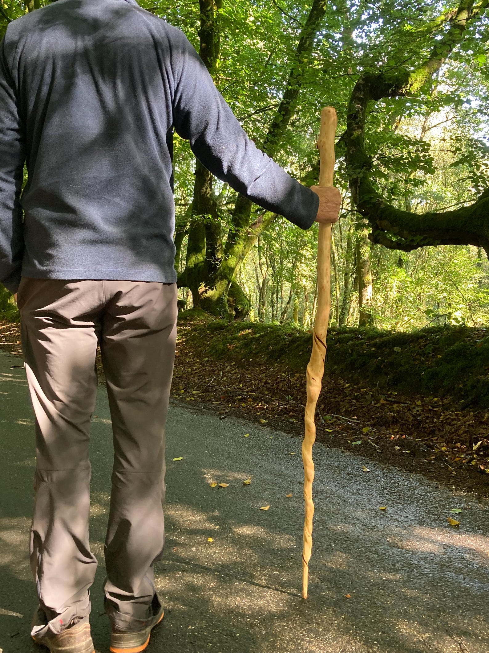 Silver Birch Twisted Walking Staff | Druid Staff | Wizard Staff | Witch ...